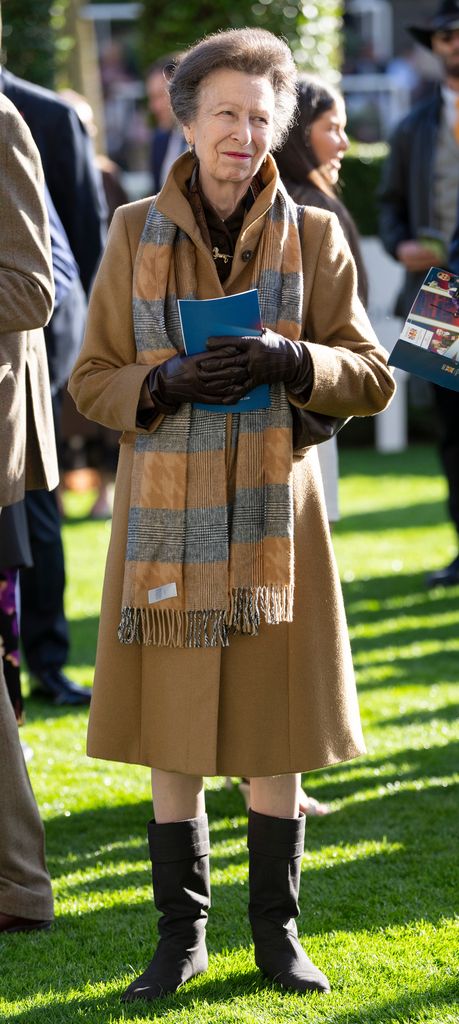 Princess Anne keeps King Charles close with meaningful accessory | HELLO!