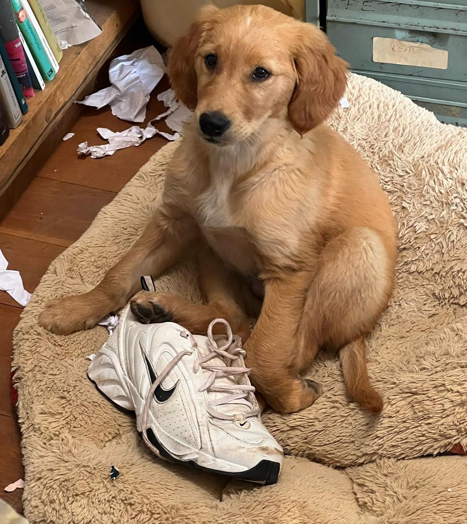 Inside Monty Don's rustic farmhouse kitchen at beloved Tudor home | HELLO!