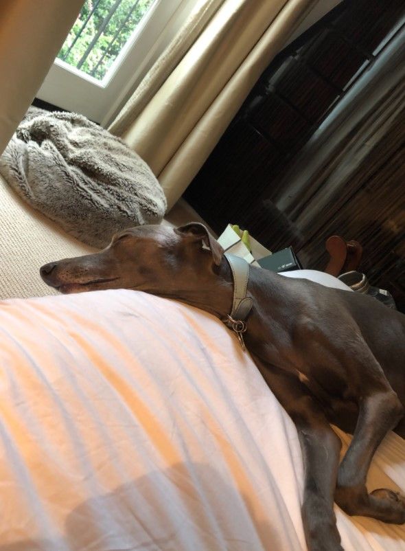 Emily Maitlis' stunning Kensington home revealed | HELLO!