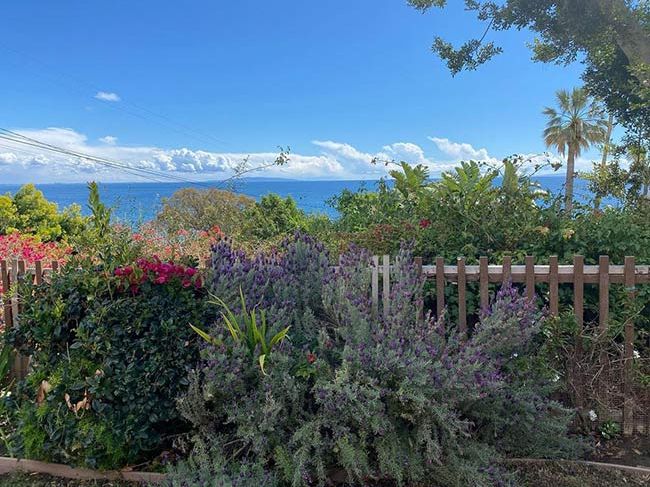 Patsy Palmer's sun-drenched Malibu mansion is epic - photos | HELLO!