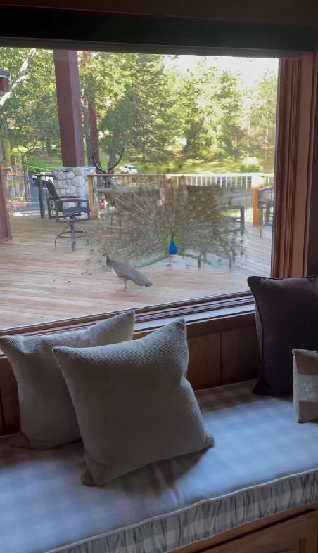 Guy Fieri's sprawling ranch he chose without his wife Lori knowing | HELLO!