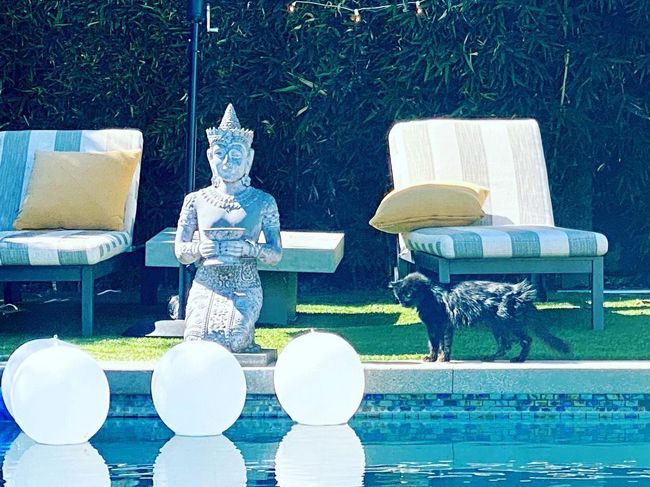 The Talk's Carrie Ann Inaba's home is a zen hideaway - photos | HELLO!