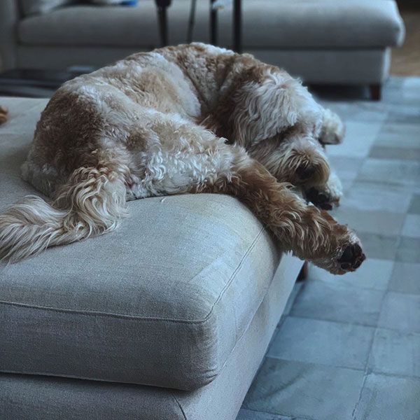 Inside Halle Berry's mind-blowing $8.5m Malibu mansion after living in ...