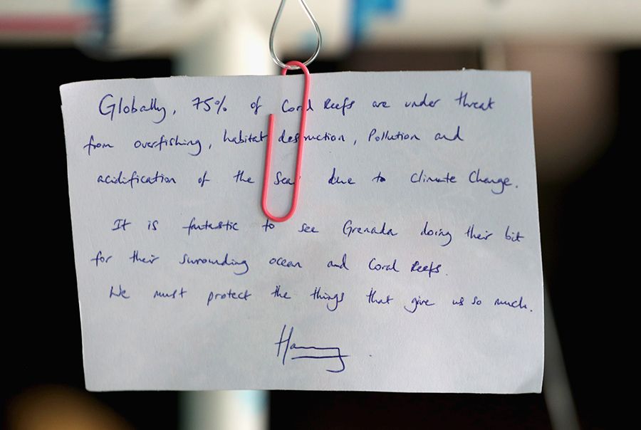 What Meghan Markle, Kate Middleton and other royals' handwriting says ...