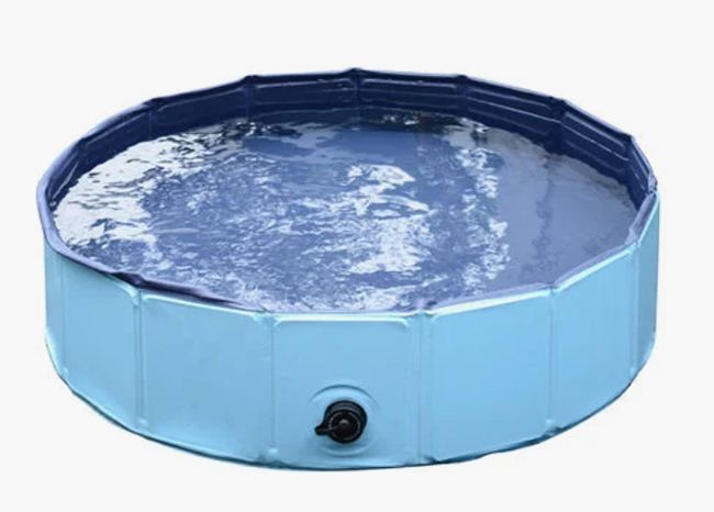 Best paddling pools to keep your dog cool this summer | HELLO!