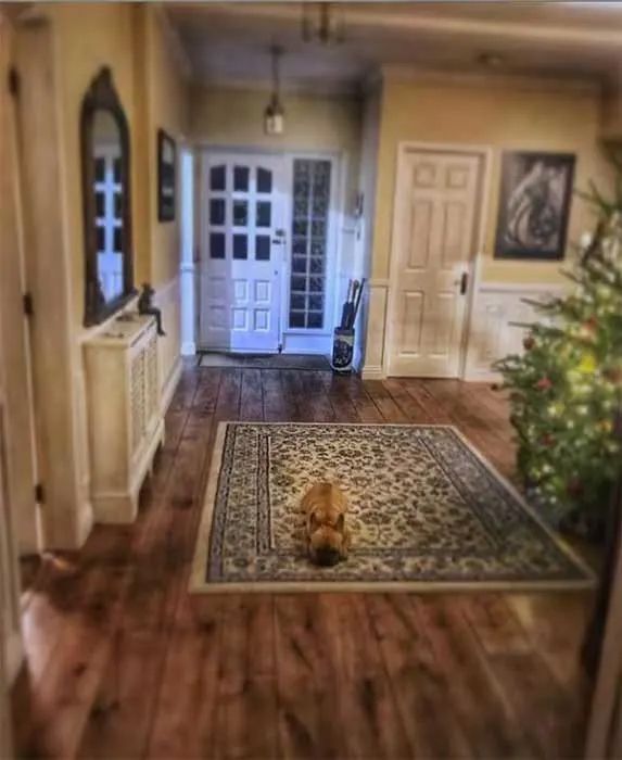 Gregg Wallace's unconventional family set-up at private countryside ...