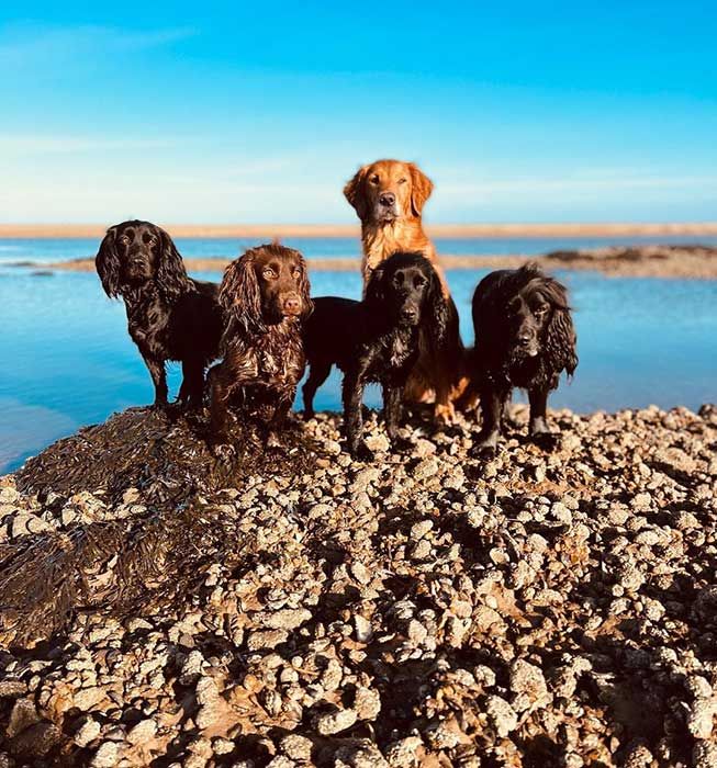 James Middleton's major life update leaves fans saying the same thing ...