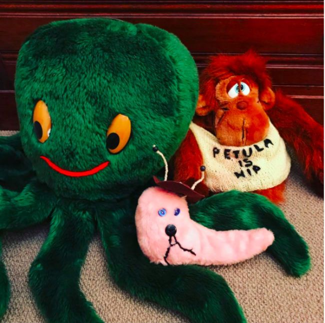 Phillip Schofield brings Gordon the Gopher back from retirement - and ...