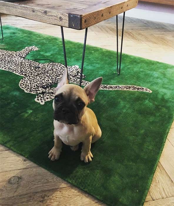 Caroline Flack is planning to rent out her £1.1m London home – take a ...