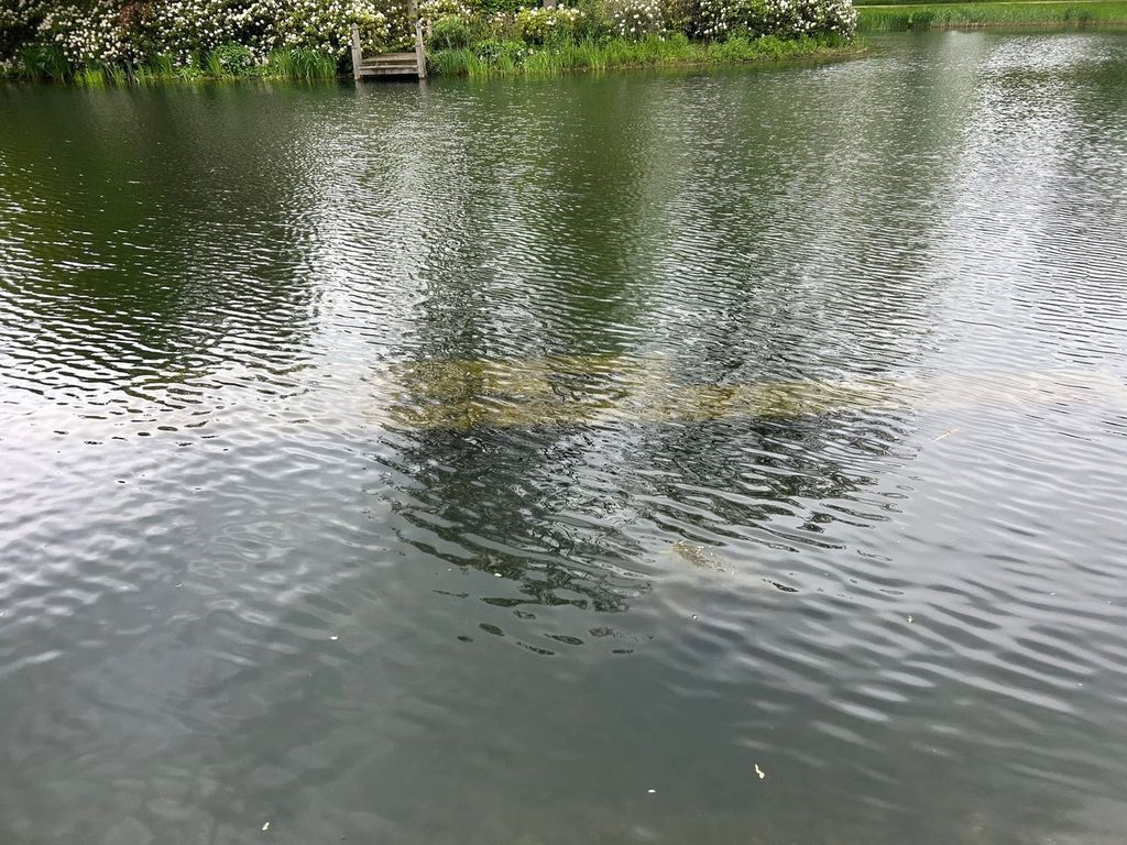 Charles Spencer's wife Karen makes incredible discovery at Oval Lake ...