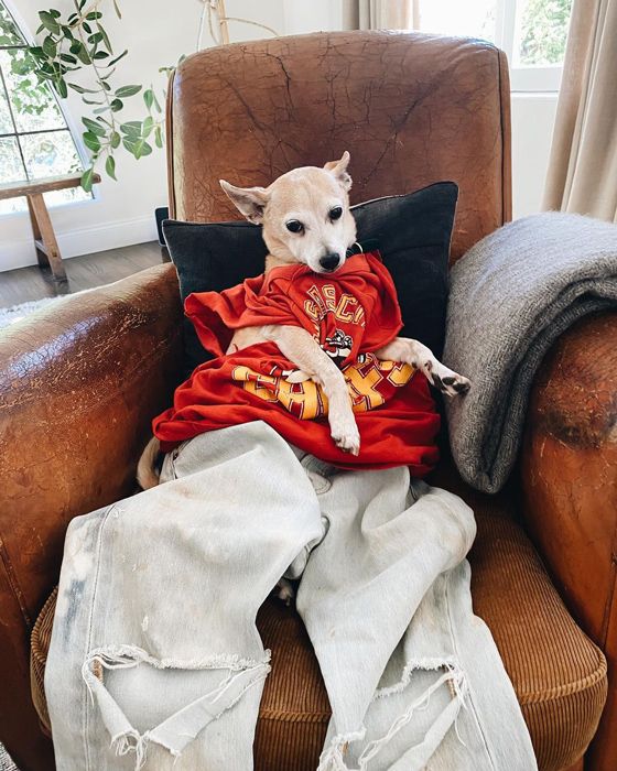 NCIS actors' incredible homes revealed: Pauley Perrette, Sean Murray ...