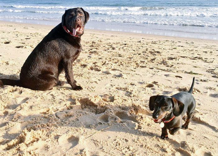 Ant and Dec: A look back at the Saturday Night Takeaway's friendship ...