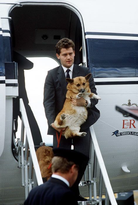 What will happen to Queen Elizabeth II's beloved Corgis? | HELLO!