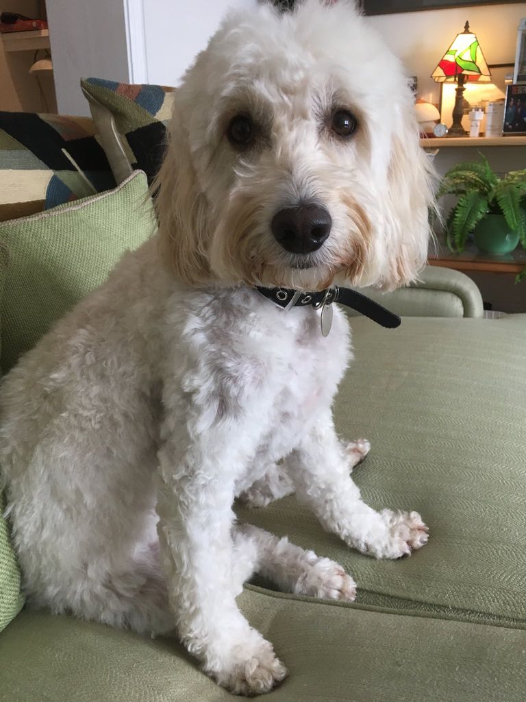 Brenda Blethyn's private life: from secret to long-lasting marriage to ...