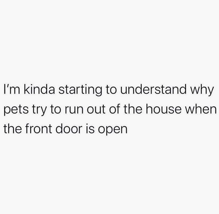 The funny lockdown-related memes to keep you entertained while in self ...