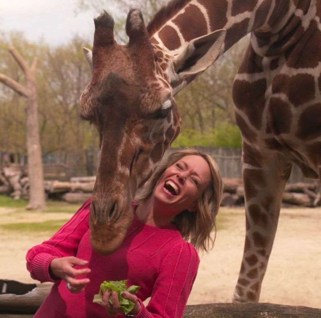 Today's Dylan Dreyer causes fan frenzy as she's caught off guard in ...