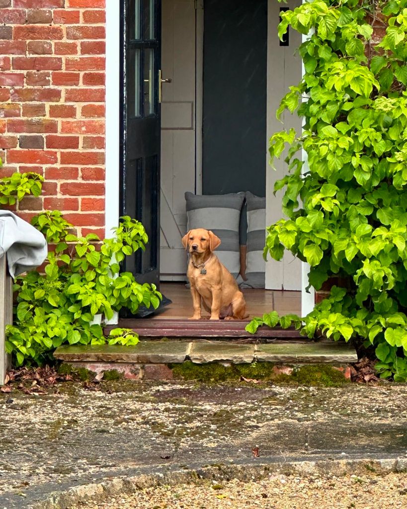 Charles Spencer welcomes precious new addition at Althorp House | HELLO!