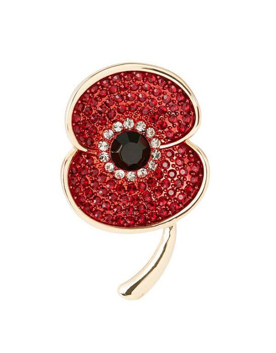Kate Middleton's poppy brooch and other ways to support the Poppy ...