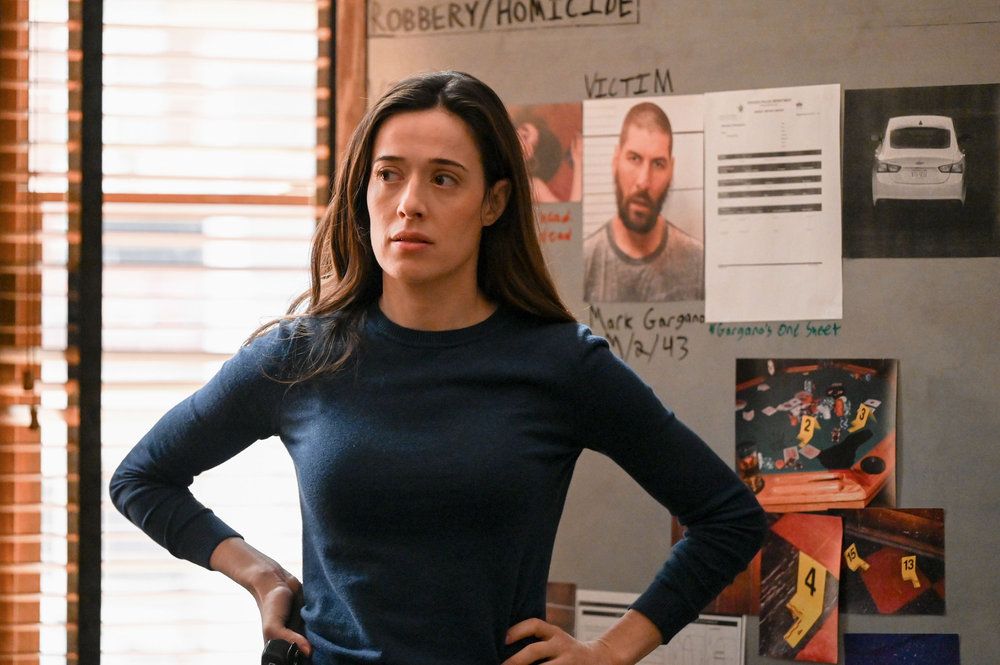 Chicago PD bosses tease 'heavy Burzek episodes' to come after season 11 ...