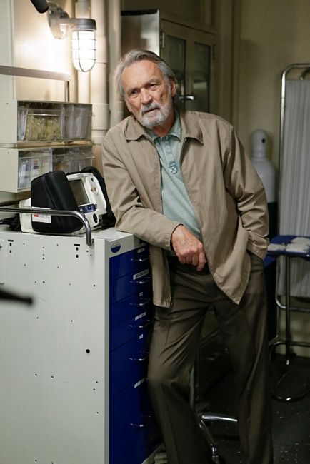 NCIS: The real reason why Mike Franks actor Muse Watson left | HELLO!