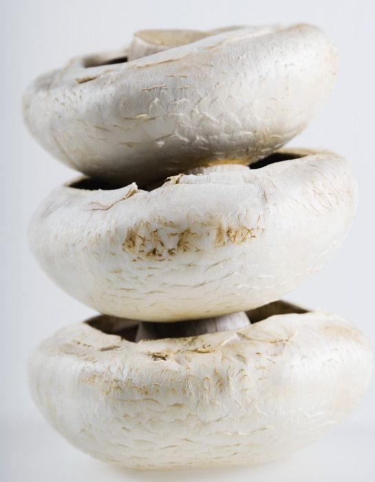 James Martin: Top tips on cooking with mushrooms | HELLO!