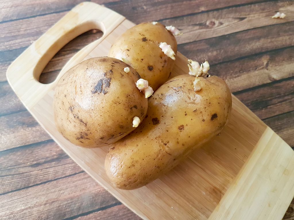 Is it safe to eat sprouted potatoes? How to keep them edible for weeks ...