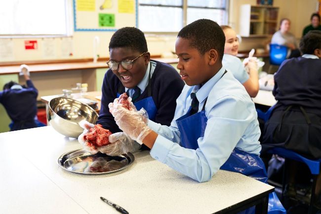 The School that Tried to End Racism: everything you need to know | HELLO!