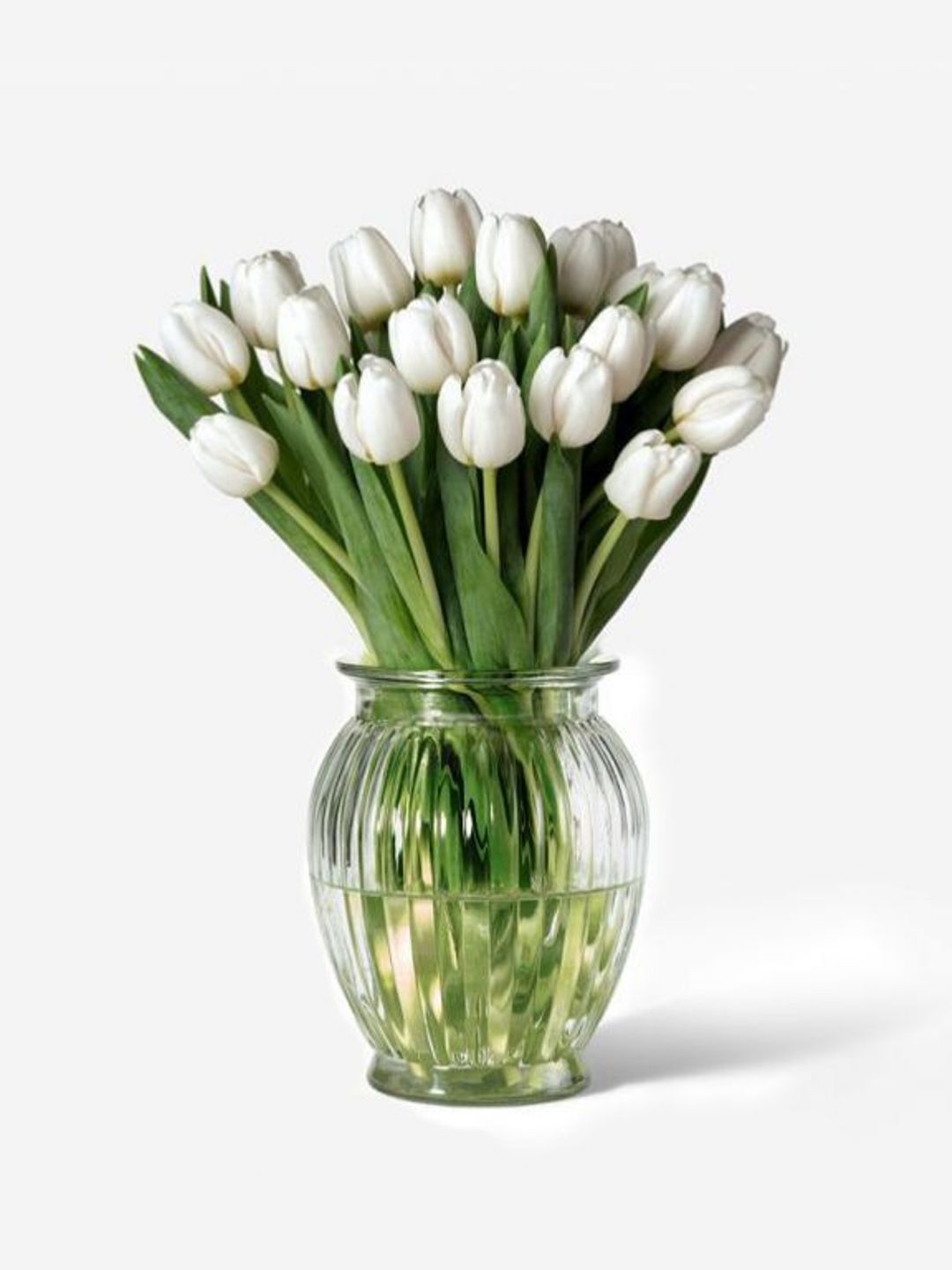 How to plan a chic Coronation party and what you need to buy - shop now ...