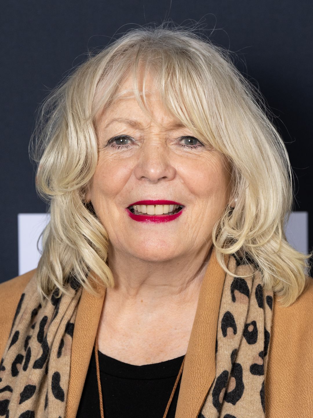 Gavin and Stacey: What have the cast been up to since the last episode ...