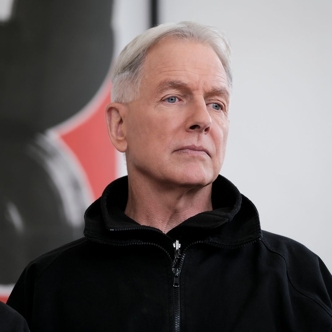 NCIS's Mark Harmon's youthful appearance will stun fans - see head ...