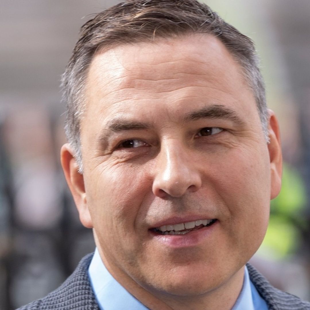 David Walliams News: Children's Books Author, Comedian & BGT Judge - HELLO!