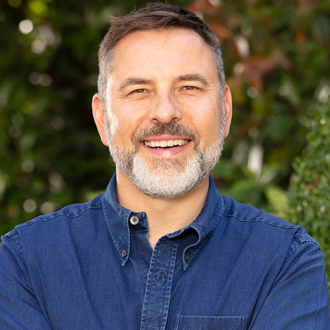 David Walliams News: Children's Books Author, Comedian & BGT Judge - HELLO!