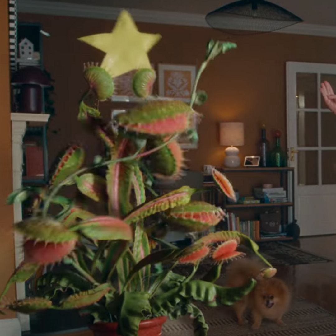 M&S Christmas advert is finally here | HELLO!
