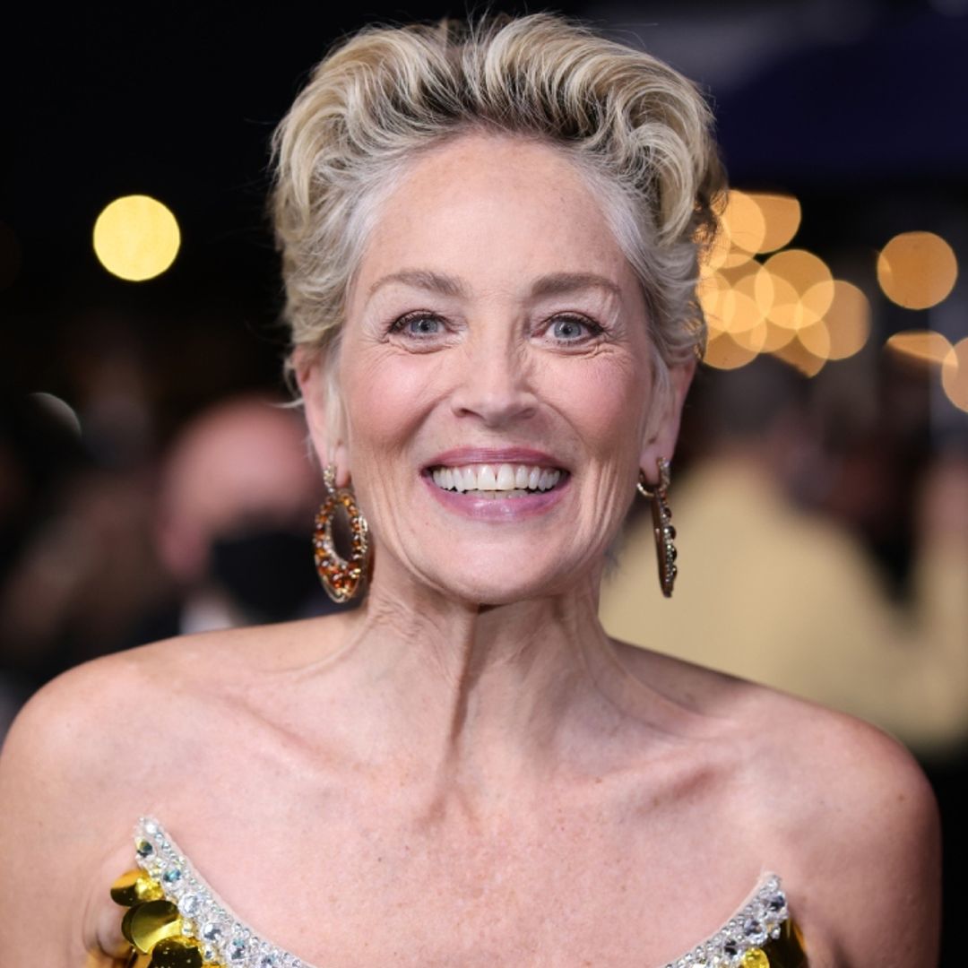 Sharon Stone: Latest News, Pictures & Videos - HELLO!