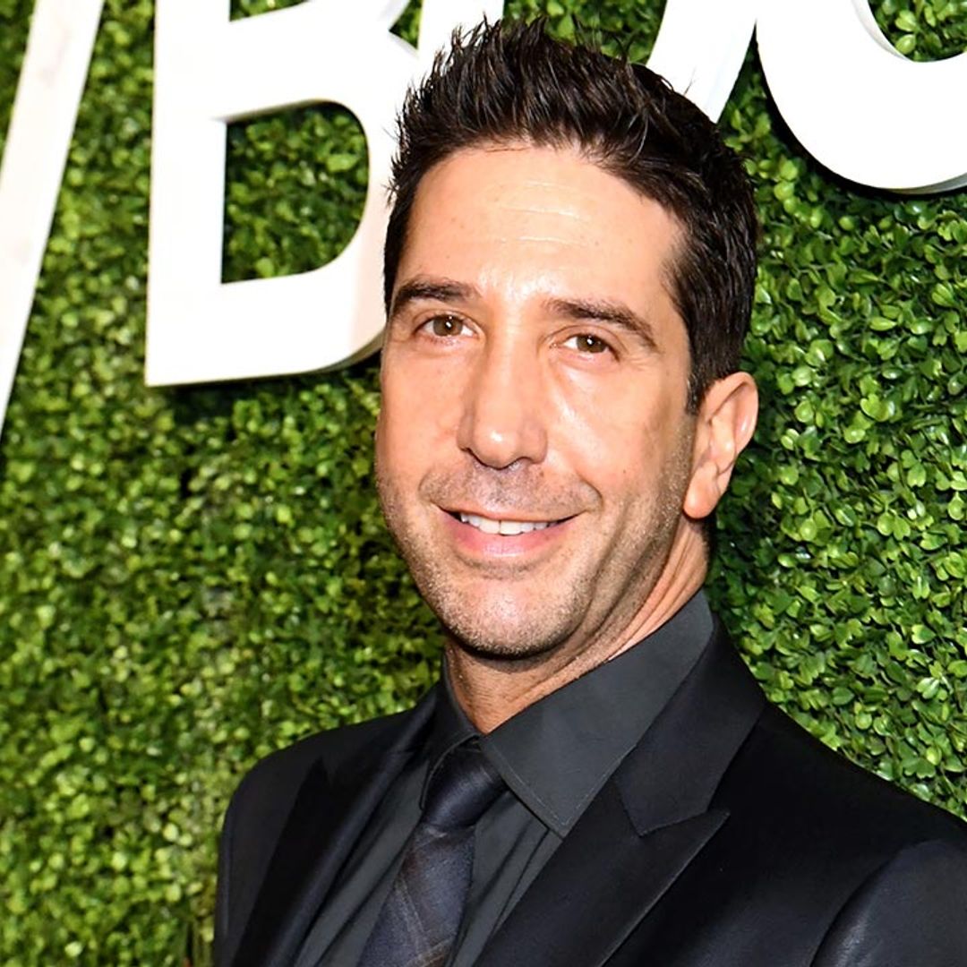 David Schwimmer: Latest News, Pictures & Videos - HELLO!