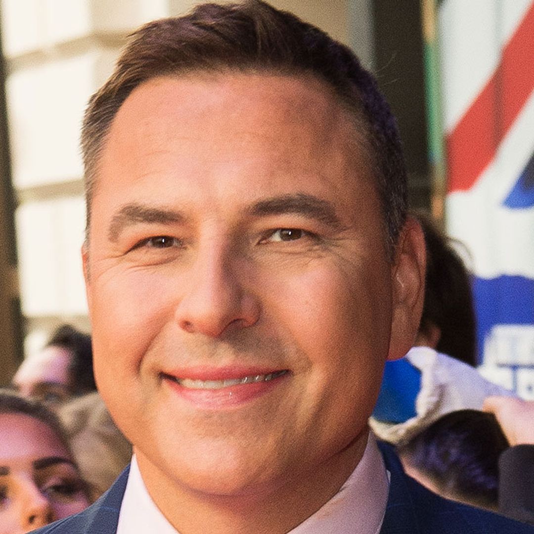 David Walliams News: Children's Books Author, Comedian & BGT Judge - HELLO!