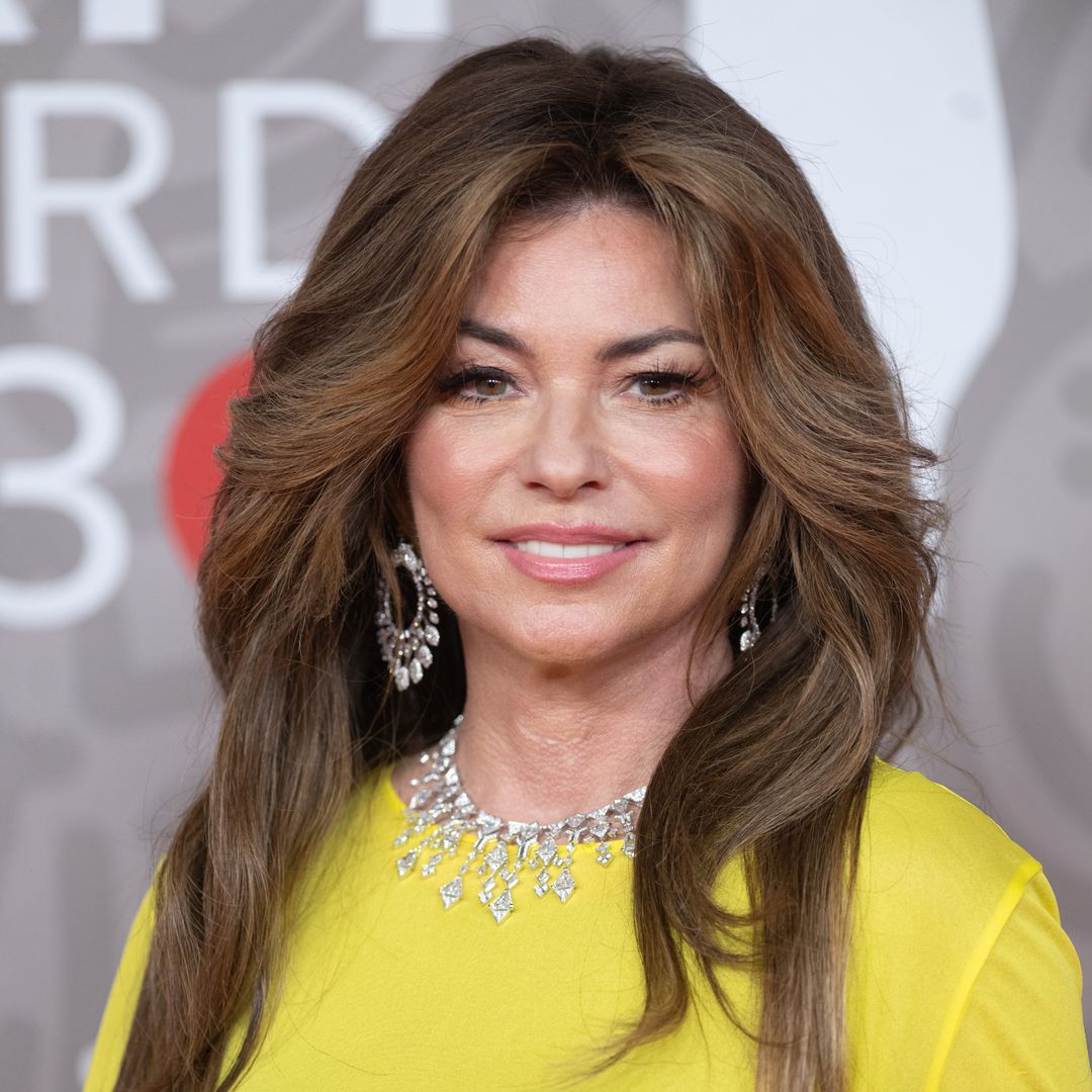 Shania Twain looks so different in new photo inside stunning ...