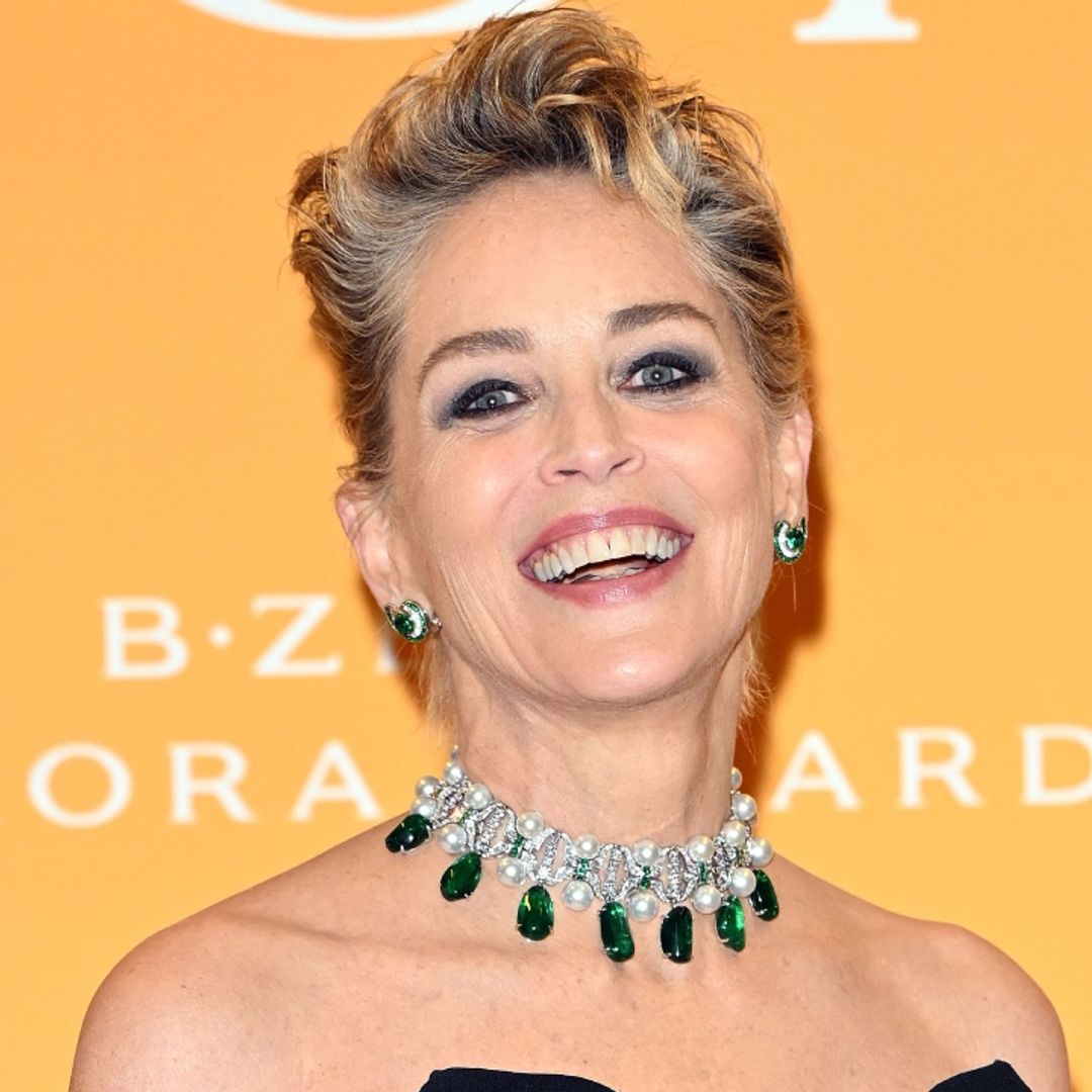Sharon Stone: Latest News, Pictures & Videos - HELLO! - Page 3