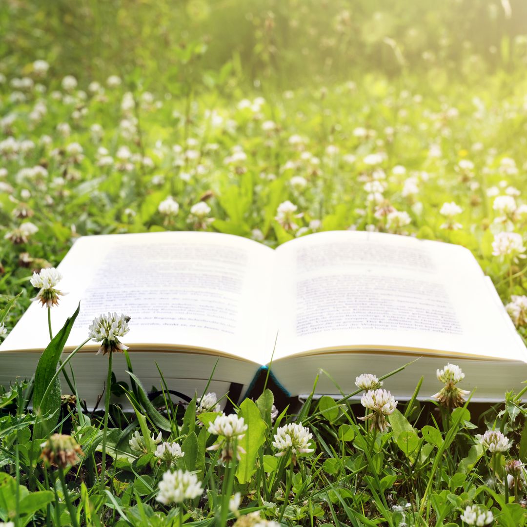 11 best sobriety books to help you give up drinking | HELLO!