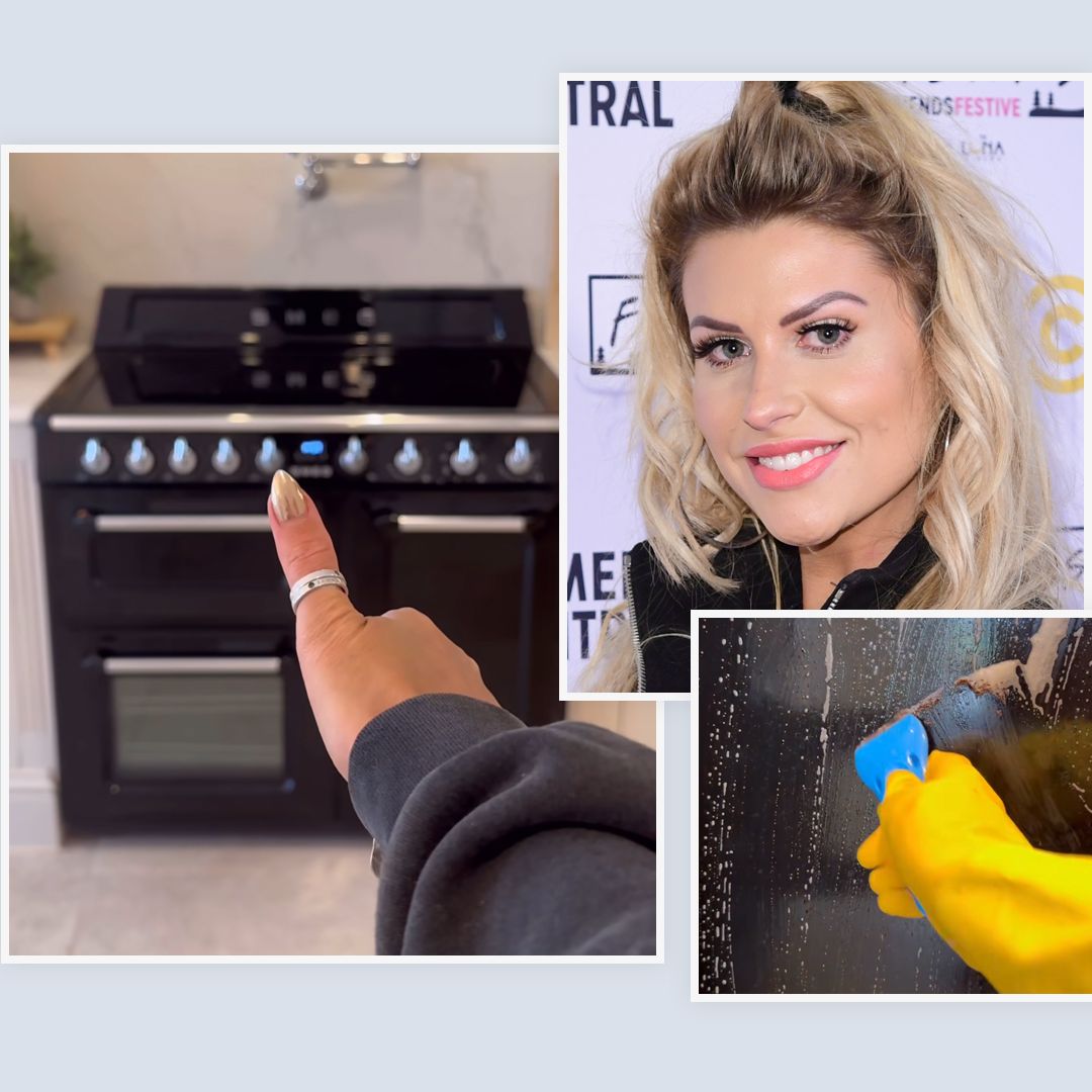 Mrs Hinch - aka Sophie Hinchliffe - used the Bissell SpotClean Pet Pro ...