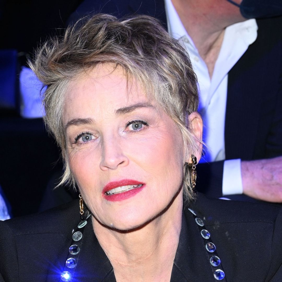 Sharon Stone has reason to celebrate as she shares rare photo with ...