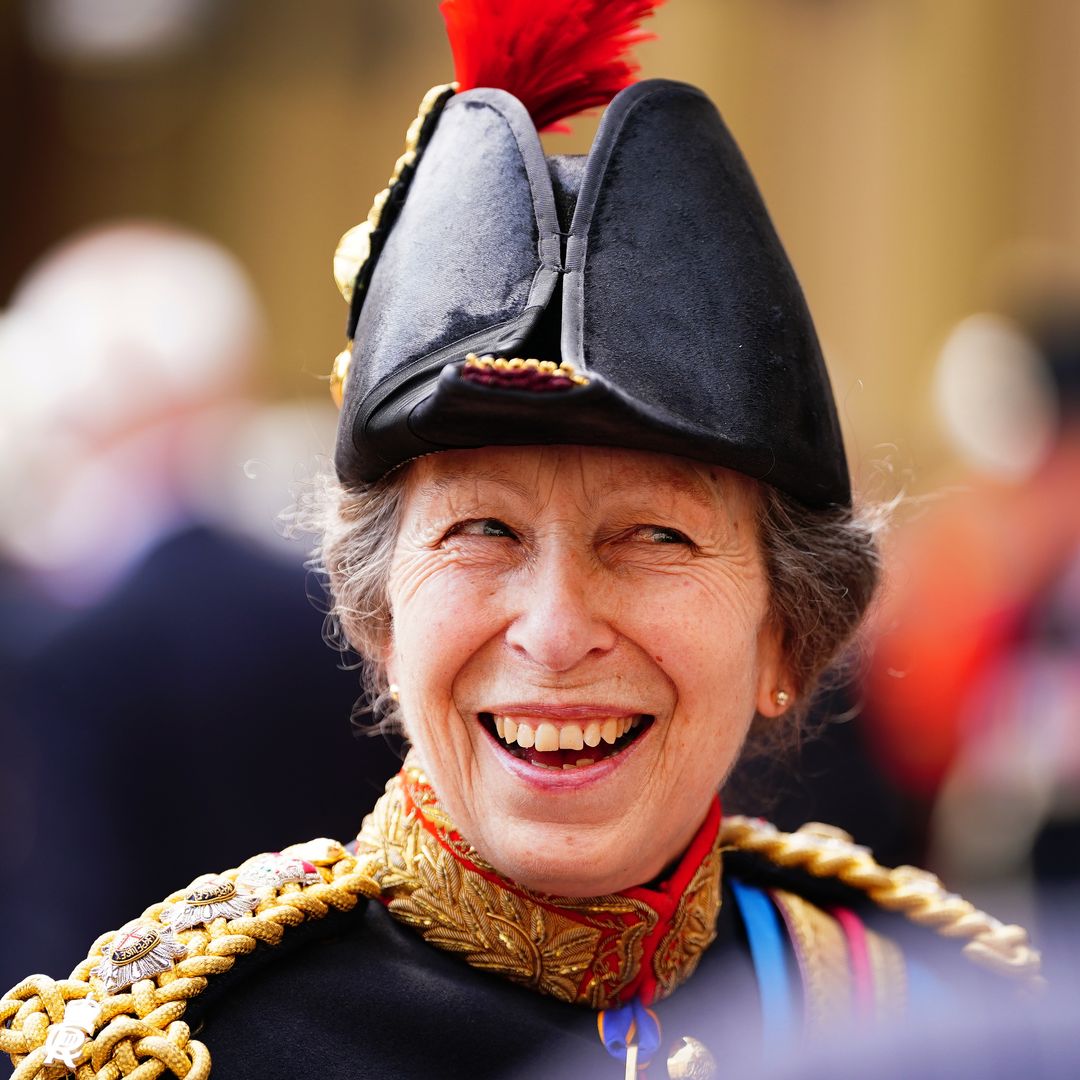 Hardworking Princess Anne is radiant in photos 4,100 miles from home ...