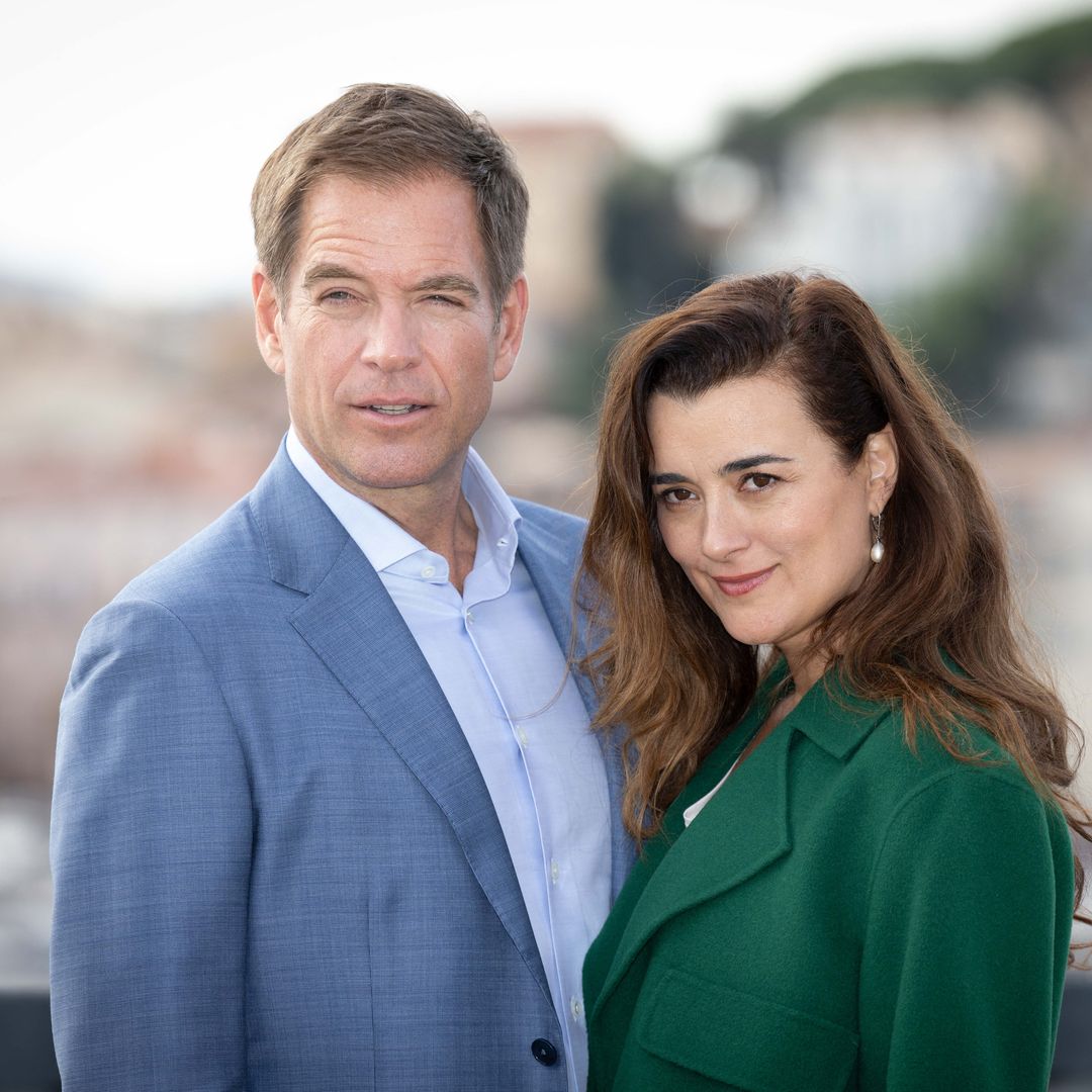 Michael Weatherly reveals rare glimpse of stunning family mansion in ...