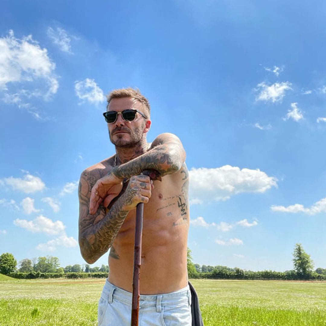 David and Victoria Beckham's incredible pool at £6.2 million Cotswolds ...