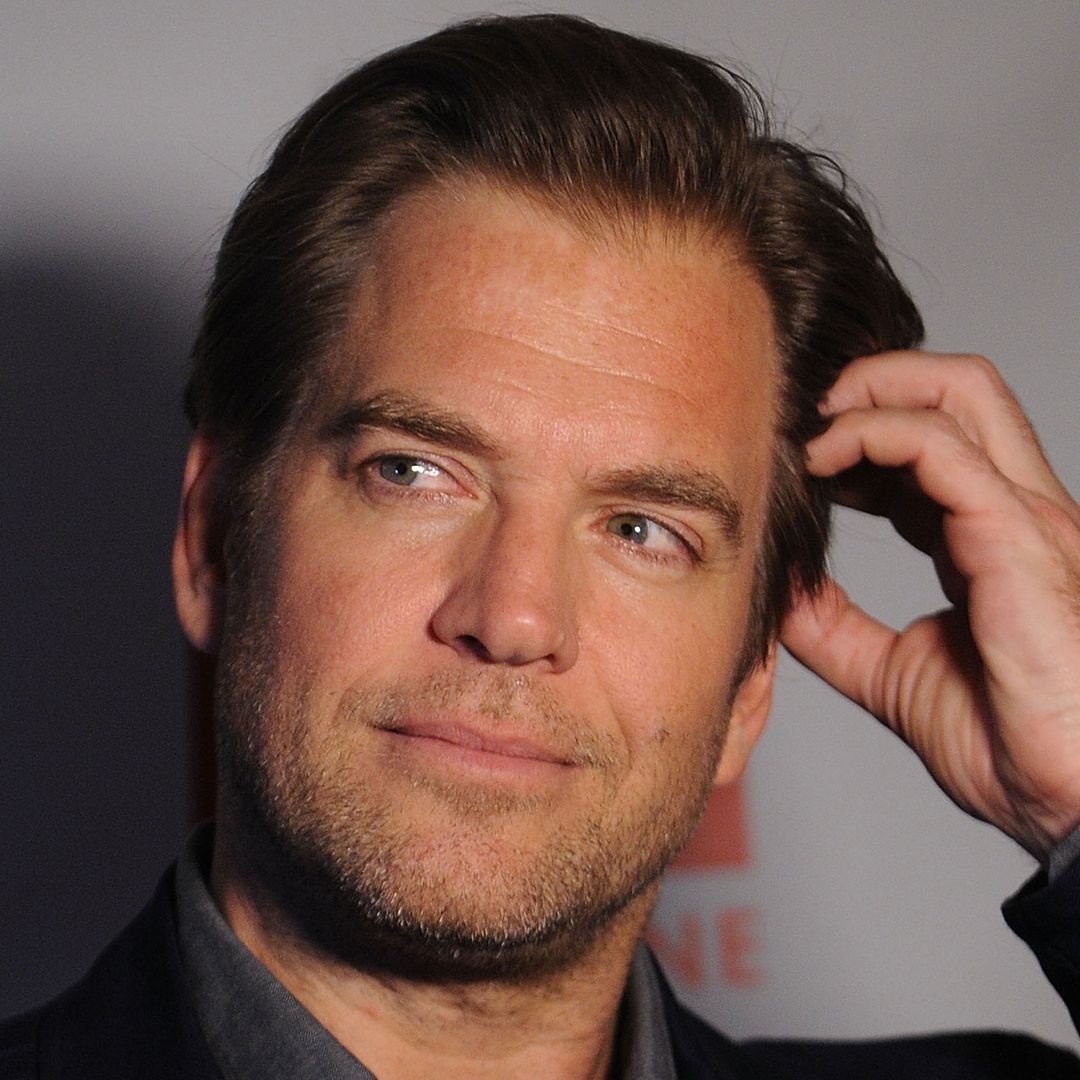 NCIS star Michael Weatherly teases long-awaited update for Tony & Ziva ...