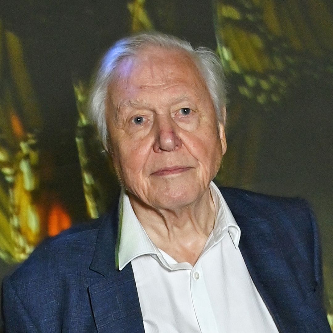 David Attenborough: Latest News, Pictures & Videos - HELLO!