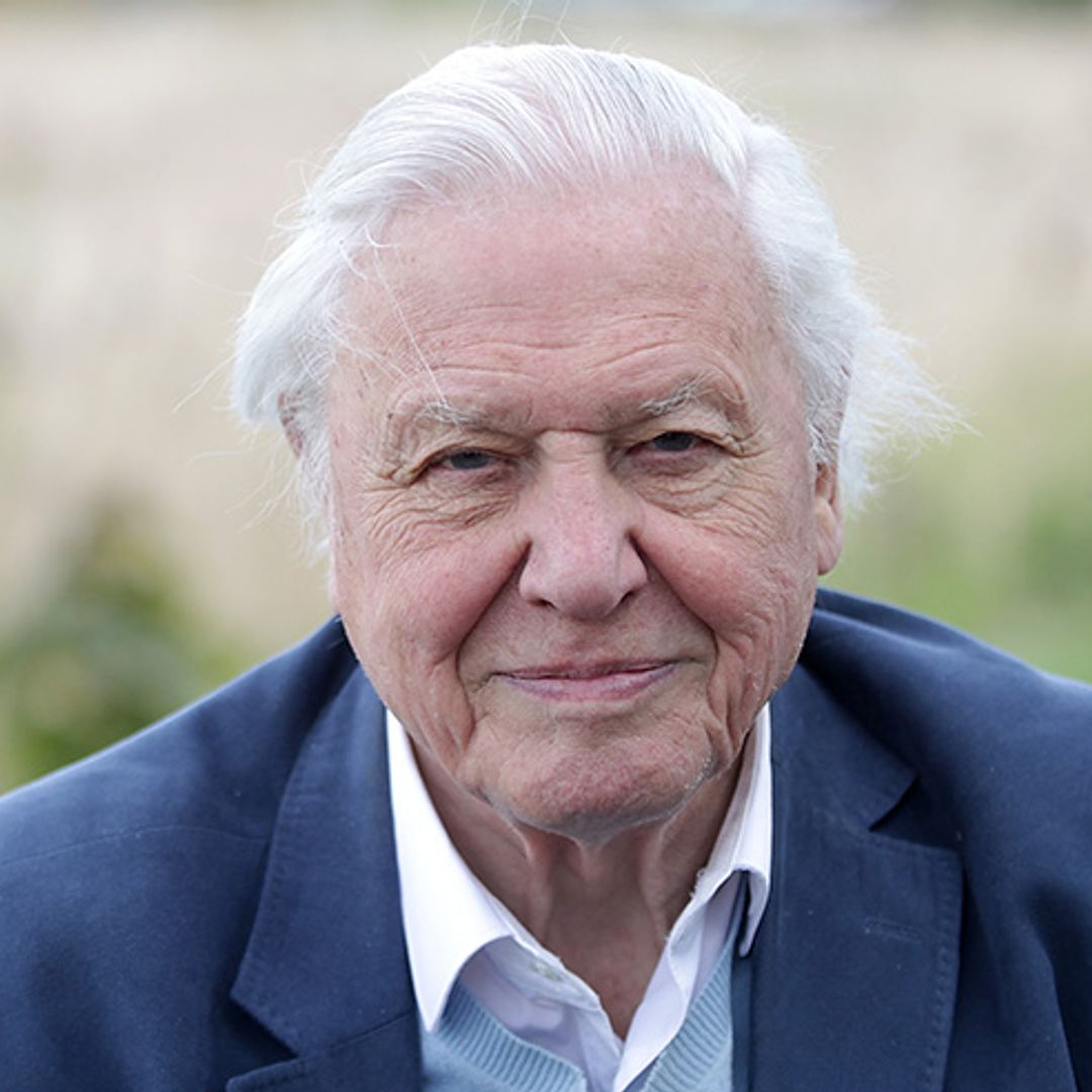 David Attenborough: Latest News, Pictures & Videos - HELLO!