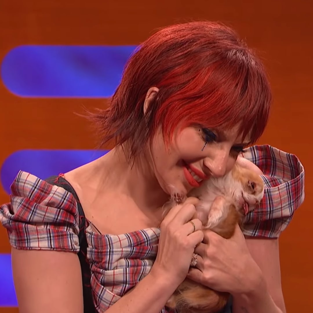 Demi Moore's tiny dog Pilaf's most star-studded moments in photos | HELLO!