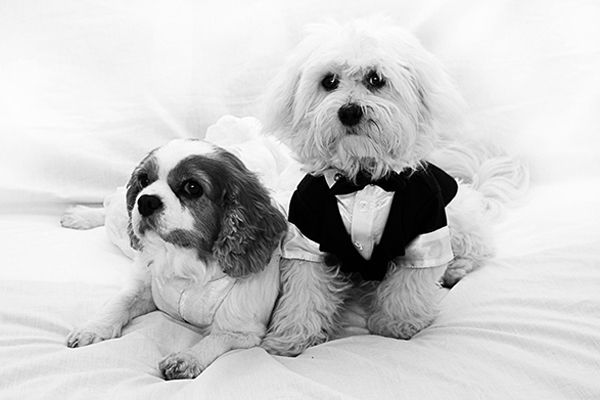 Eimear and Martin wed on the island where they once first met | HELLO!