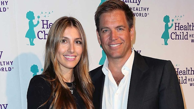 Meet NCIS' Michael Weatherly's gorgeous award-winning wife – and she's ...